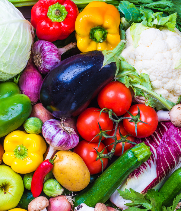 Qutoof Dania Trading Co. – Just another WordPress site